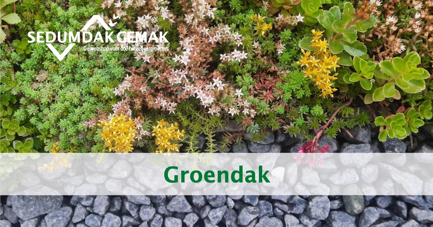 Groendak voorbeelden ter inspiratie