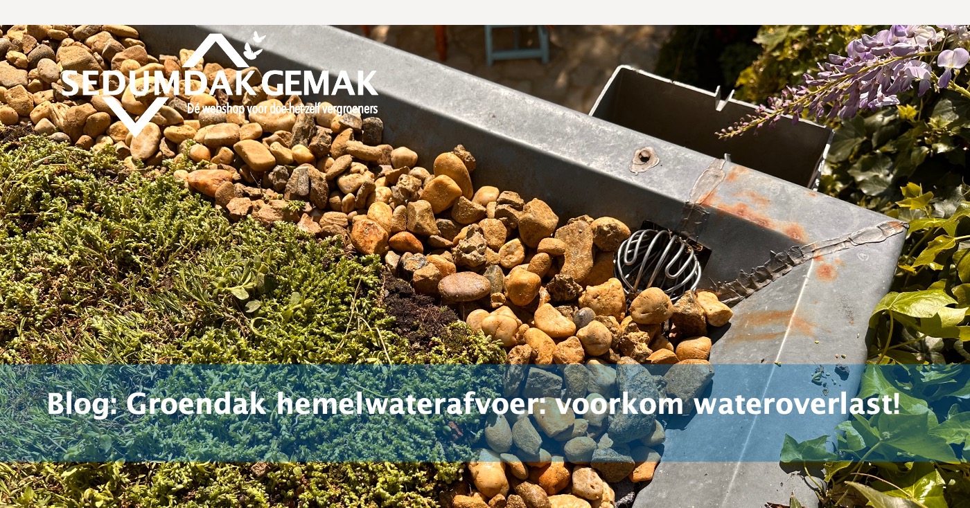 Groendak hemelwaterafvoer: voorkom wateroverlast!
