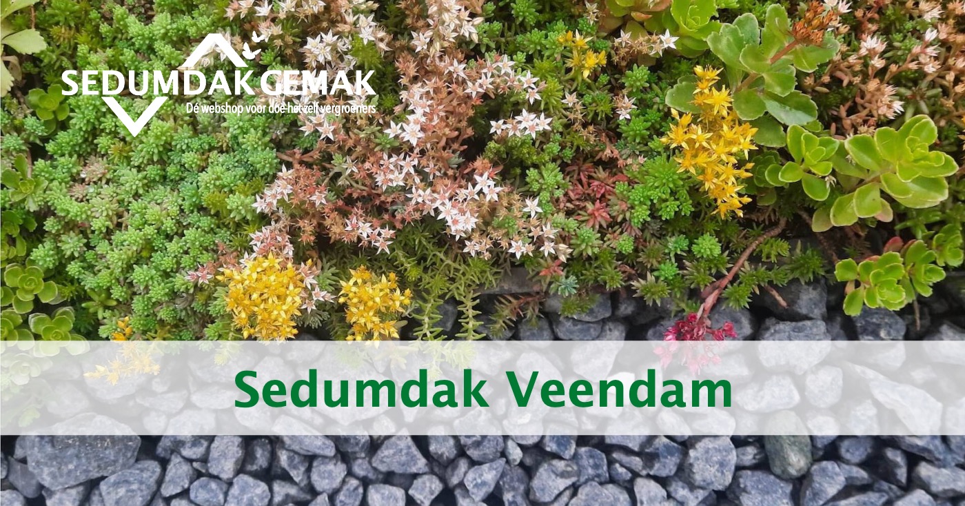 Sedumdak Veendam zelf aanleggen? – Zo pak je het aan!